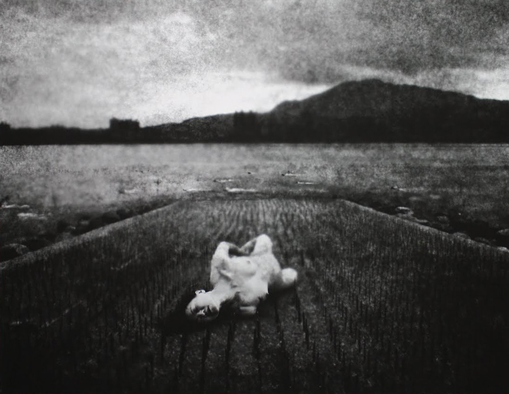 Hsieh Chun-te – drtenge